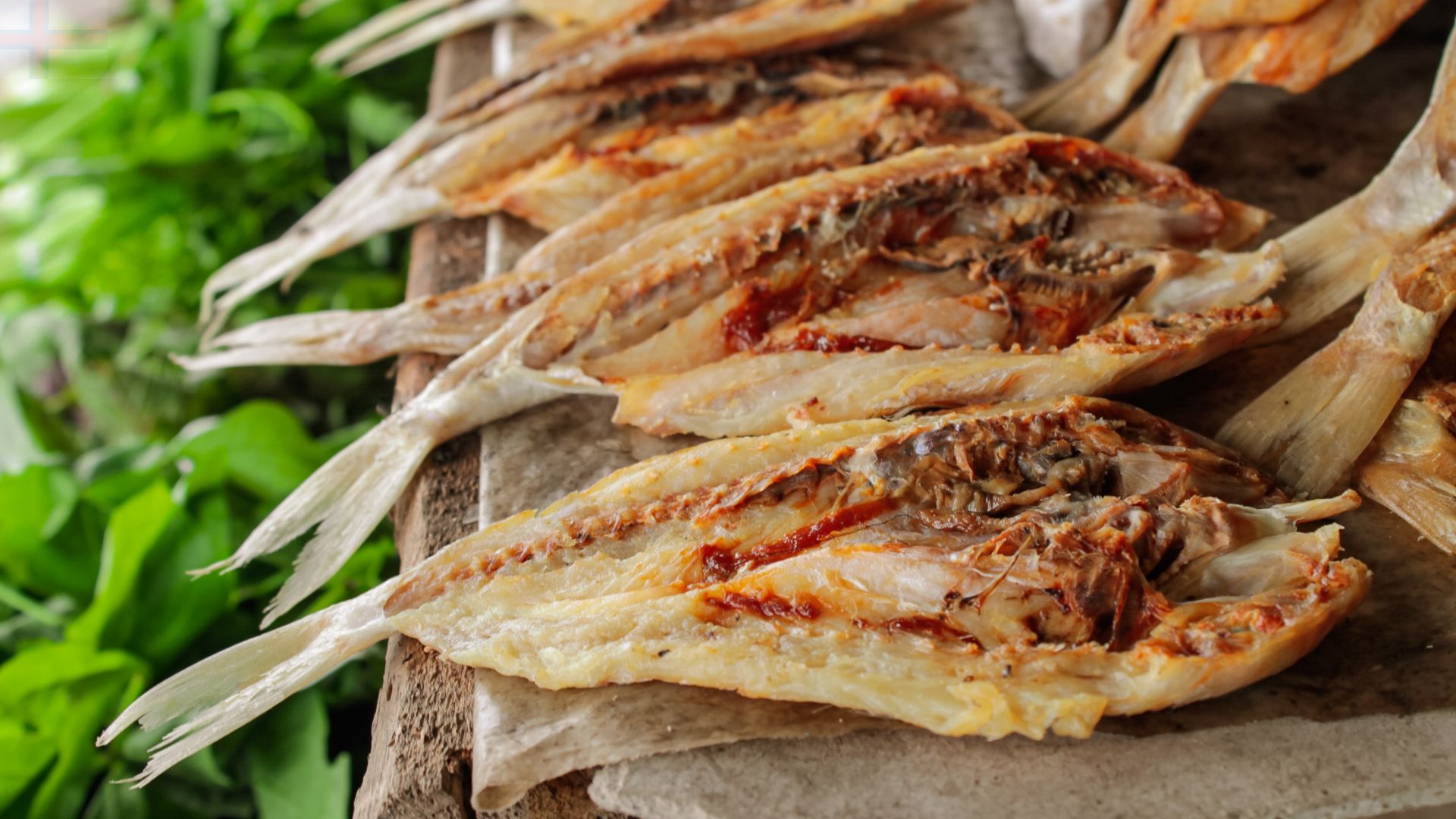 Färöarna - lär känna ett magnifikt land